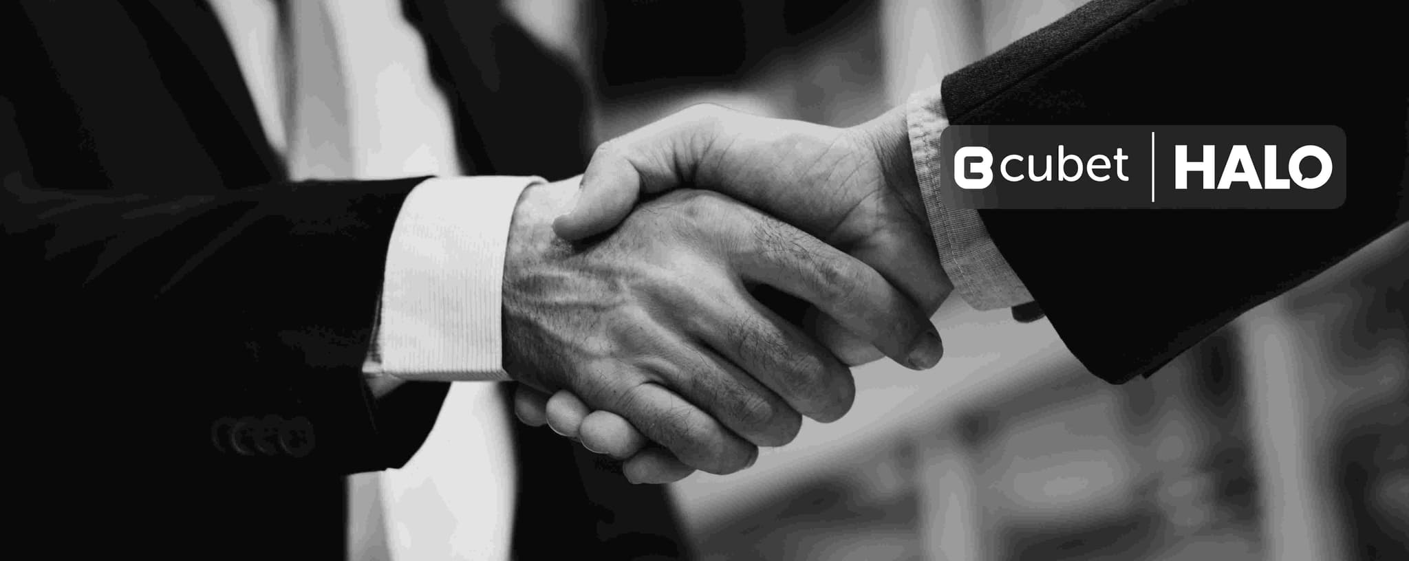 HALO Enterprise Solutions | ITSM, PSA & CRM Services by Cubet