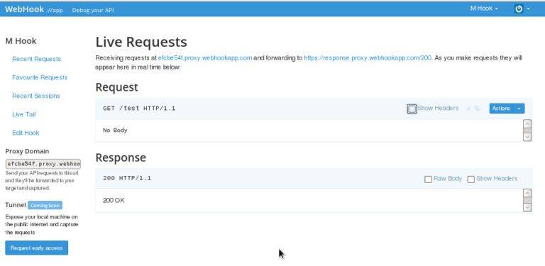 Debugging Webhook Requests Using Webhookapp.com | Blog
